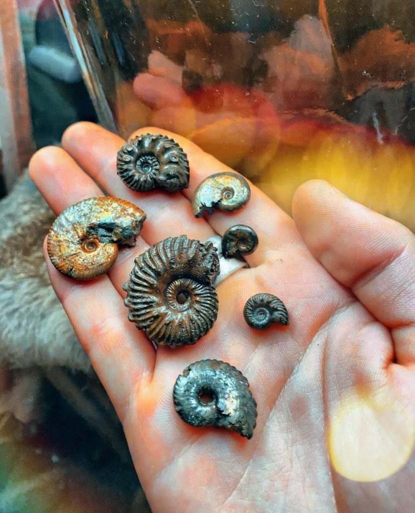 The Warren - One of the Most Beautiful Places on Earth | Folkelife