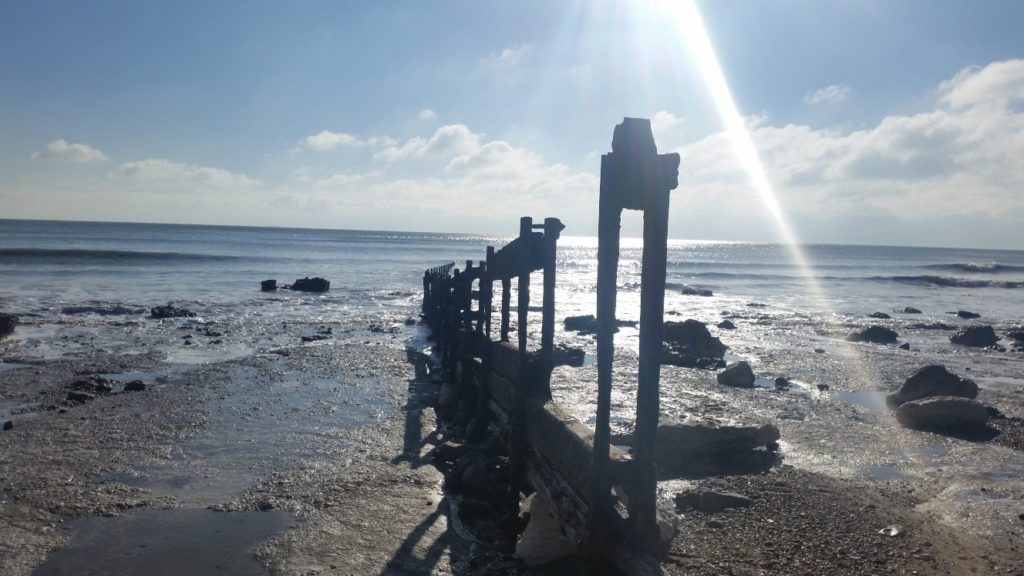 The Warren - One of the Most Beautiful Places on Earth | Folkelife